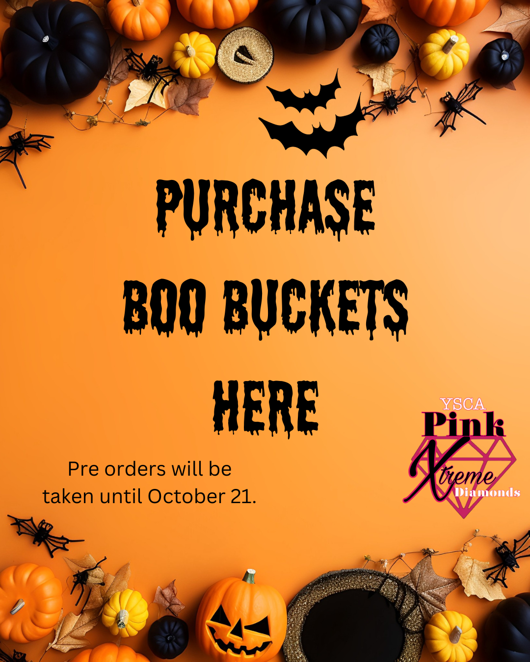 Deliver Halloween Joy with YSCA’s Boo Buckets – Yuba Sutter Cheer ...